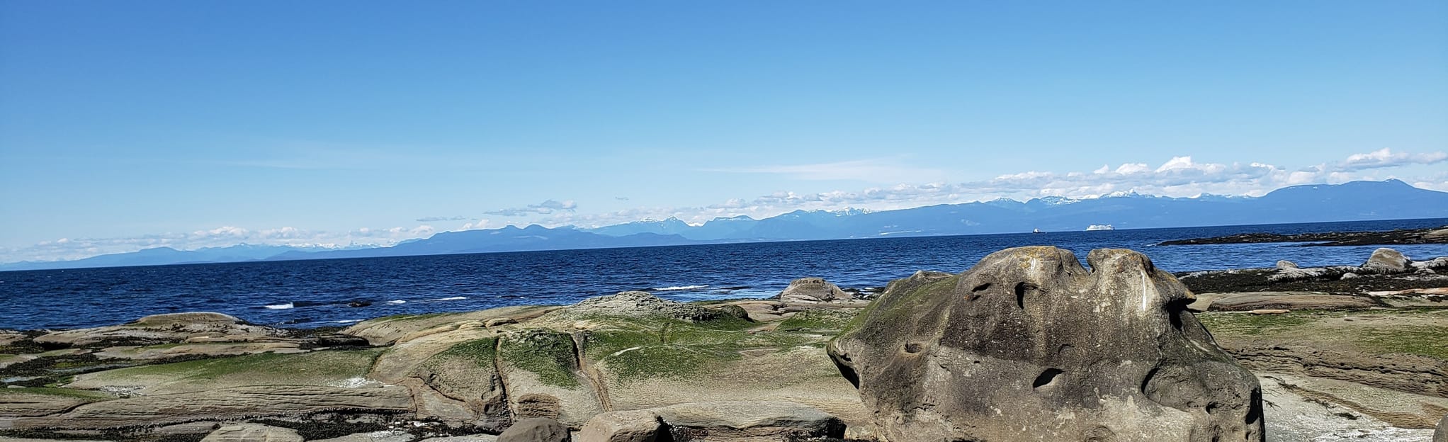 DeCourcy Beach Loop, British Columbia, Canada - 21 Reviews, Map | AllTrails