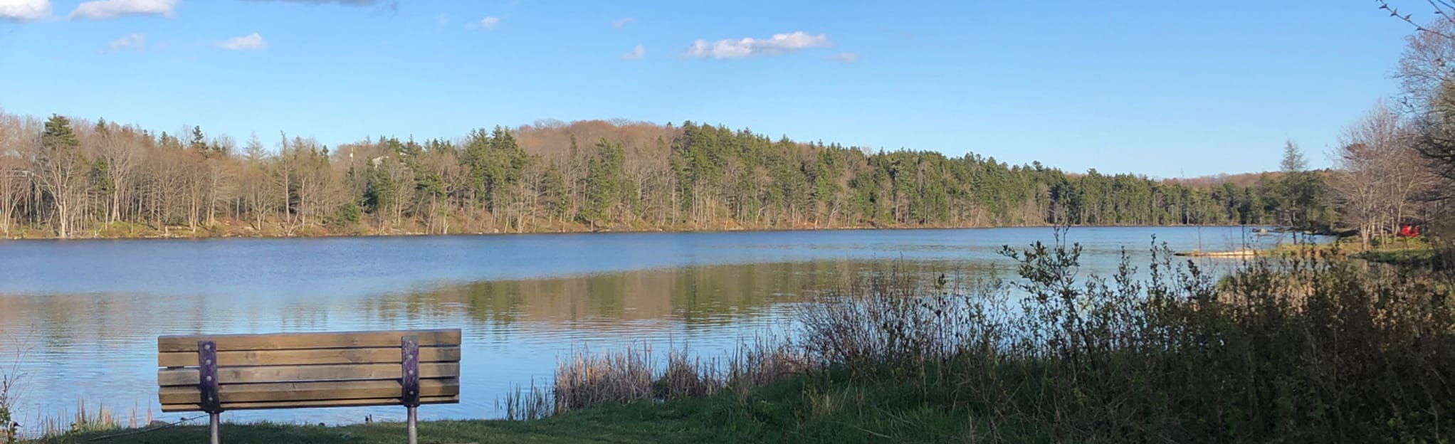 Cranberry Lake Trail, Nova Scotia, Canada - 36 Reviews, Map | AllTrails