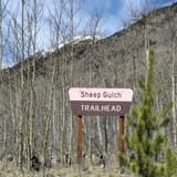 Hope Pass via Sheep Gulch Trail, Colorado - 117 Reviews, Map | AllTrails