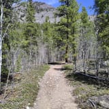 Hope Pass via Sheep Gulch Trail, Colorado - 117 Reviews, Map | AllTrails