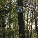 Freetown Fall River State Forest Loop, Massachusetts - 347 Reviews, Map ...