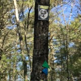 Freetown Fall River State Forest Loop, Massachusetts - 347 Reviews, Map ...