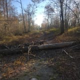 Freetown Fall River State Forest Loop, Massachusetts - 347 Reviews, Map ...