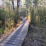 Freetown Fall River State Forest Loop, Massachusetts - 347 Reviews, Map ...