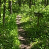 Perry Lake Hiking Trail, Kansas - 110 Reviews, Map | AllTrails