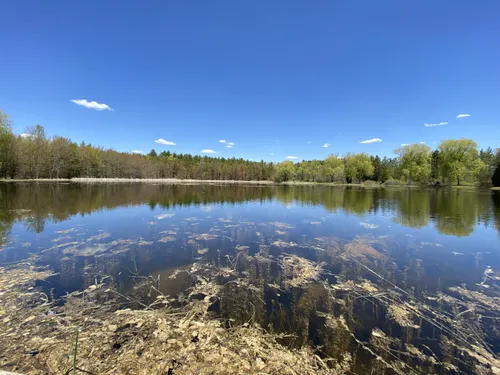 Best Hikes and Trails in Robert Edmondson Conservation Area | AllTrails