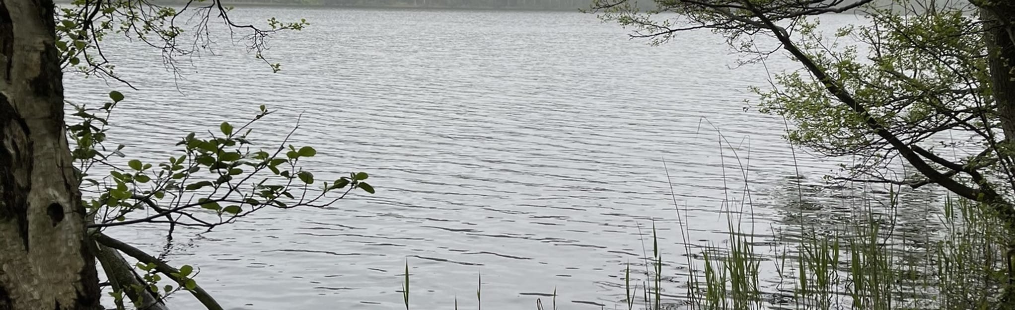 Salemer Lake - Piper Lake Loop: 14 Reviews, Map - Schleswig-Holstein ...