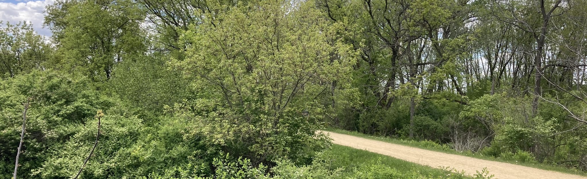 Military Ridge State Trail via Community Park, Wisconsin - 309 Reviews ...