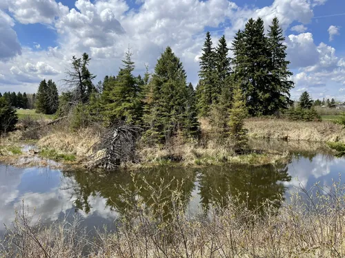 Best Hikes and Trails in Millet | AllTrails