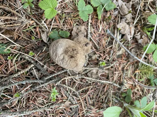 Best Hikes and Trails in Millet | AllTrails