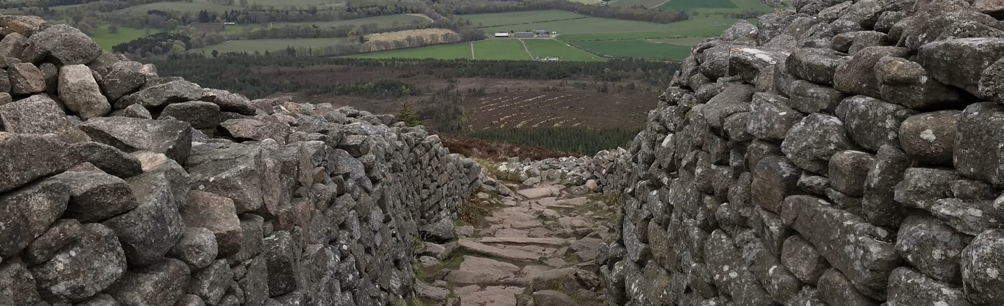 Mither Tap, Aberdeenshire, Scotland - 52 Reviews, Map | AllTrails