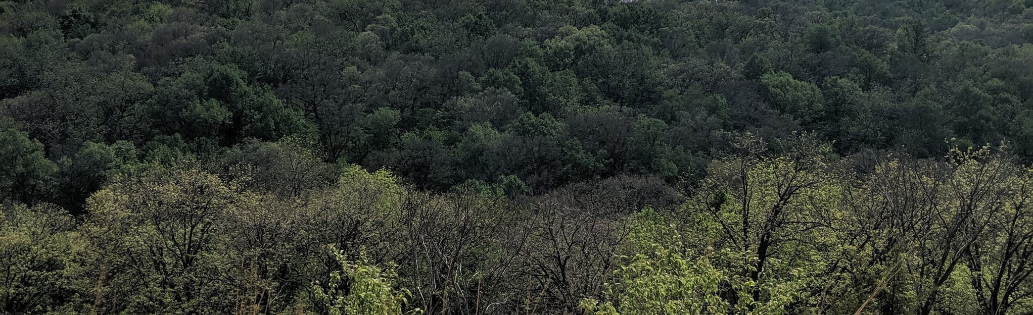 Elk Run Trail and Bear Trail: 53 Reviews, Map - Iowa | AllTrails