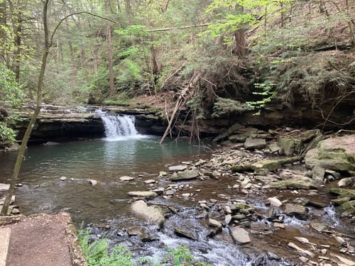 10 Best Off Road Driving Trails in Tennessee | AllTrails