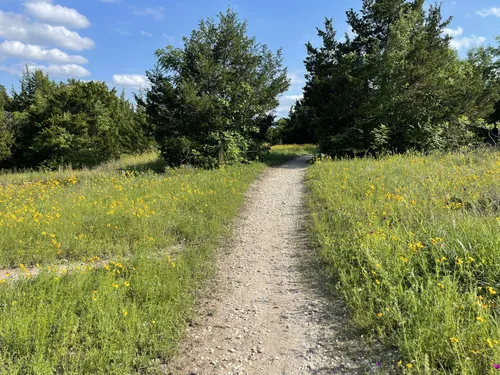 10 Best Walking Trails in Dallas | AllTrails