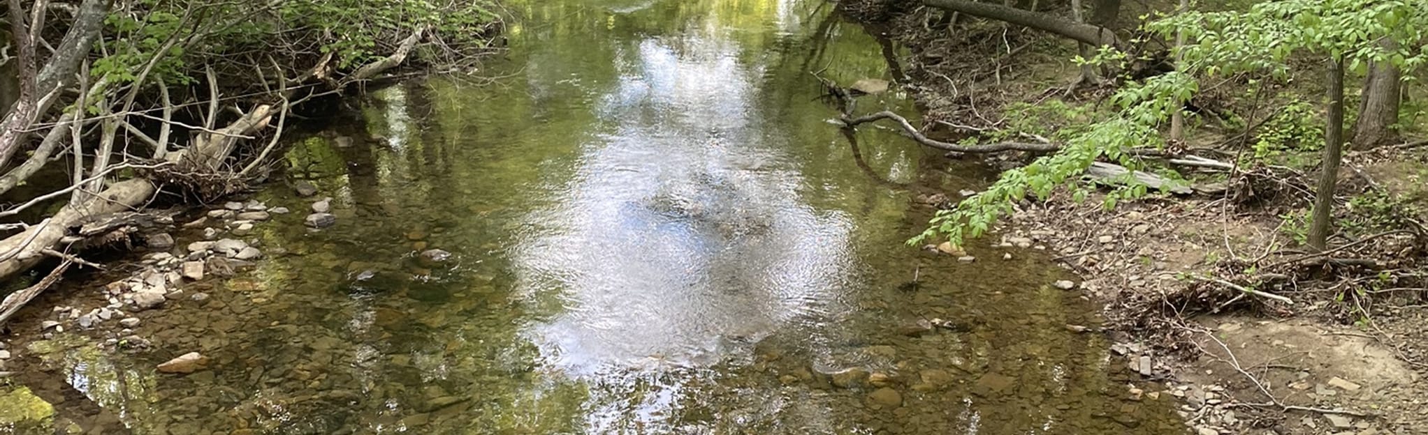 Brush Mountain and Audie Murphy Memorial Trail: 54 Reviews, Map ...