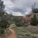 Johnny Behind the Rocks Trail, Wyoming - 106 Reviews, Map | AllTrails