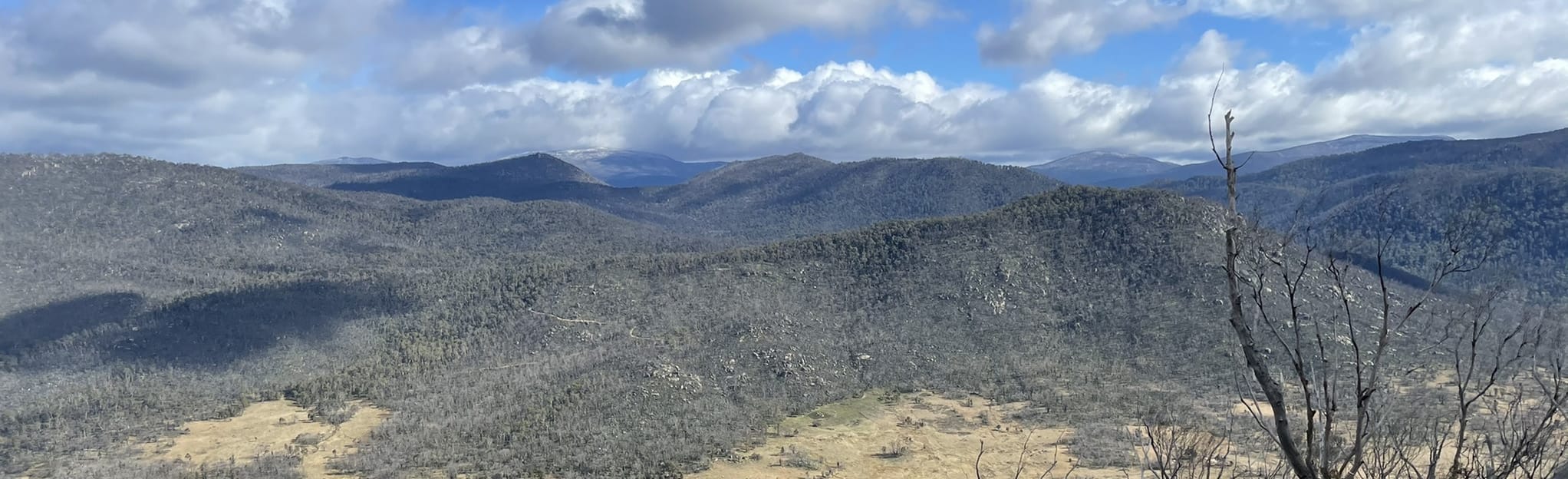 Orroral Ridge: Sentinel Rocks Walk, Australian Capital Territory ...