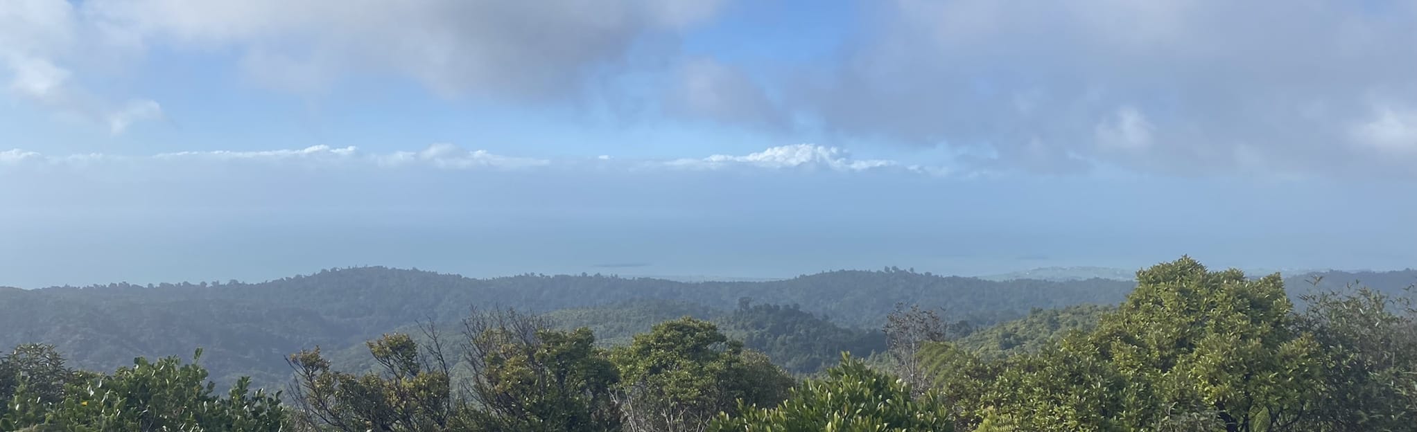 Kohukohunui and Upper Mangatawhiri Loop Track, Auckland, New Zealand ...