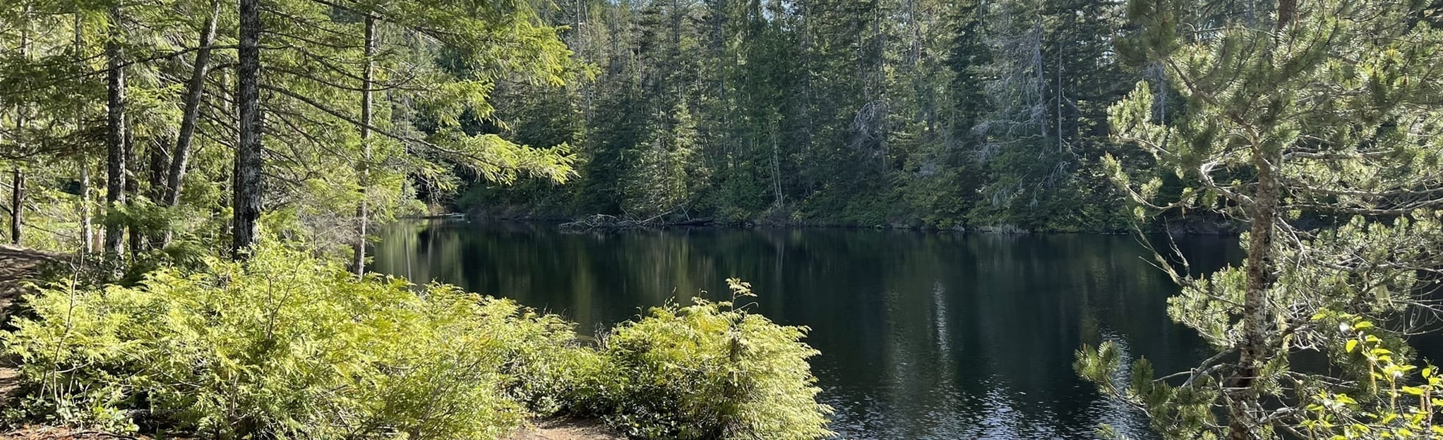 Peden Bluff and Peden Lake via Three Bears Trail: 20 Reviews, Map ...