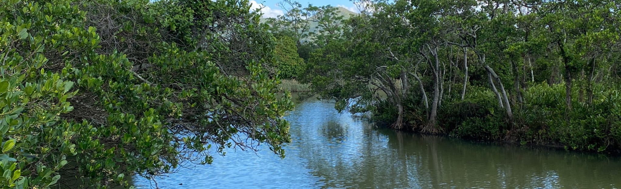 Mai Po Nature Reserve: 1 Reviews, Map - Yuen Long, Hong Kong | AllTrails