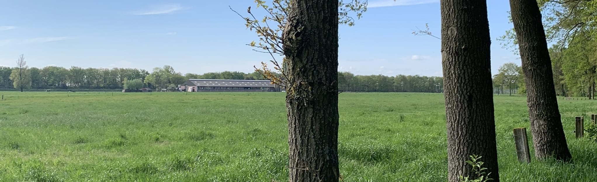 Weert Mountainbikeroute: 5 Reviews, Map - Limburg, Netherlands | AllTrails