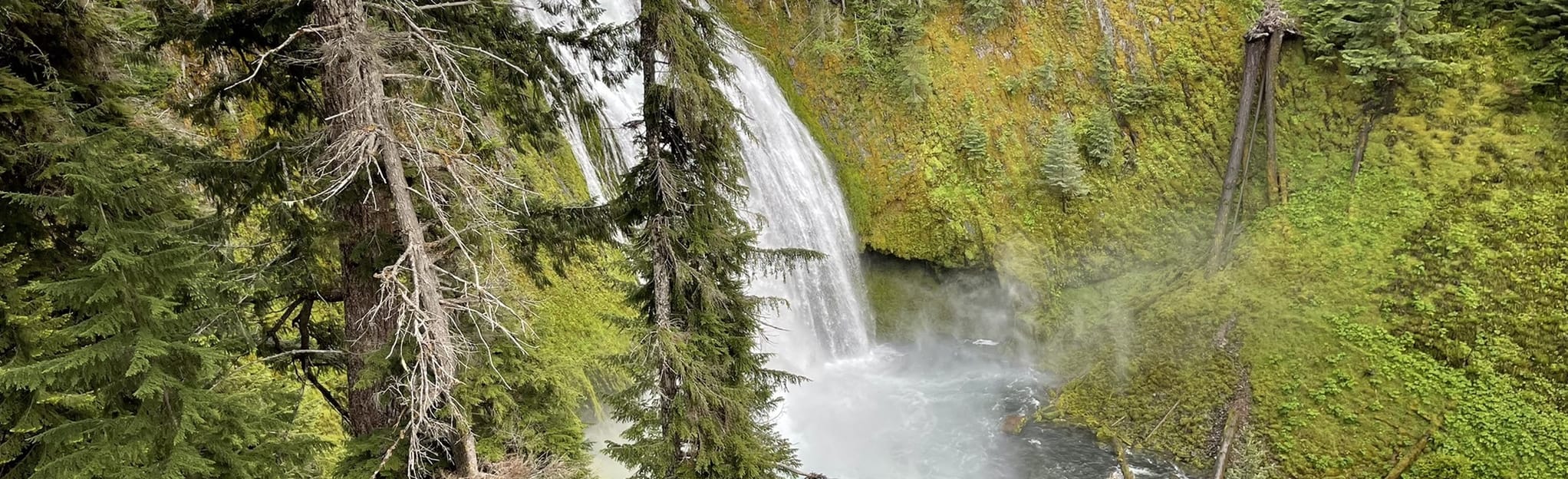 Lemolo Falls Trail: 312 Reviews, Map - Oregon | AllTrails