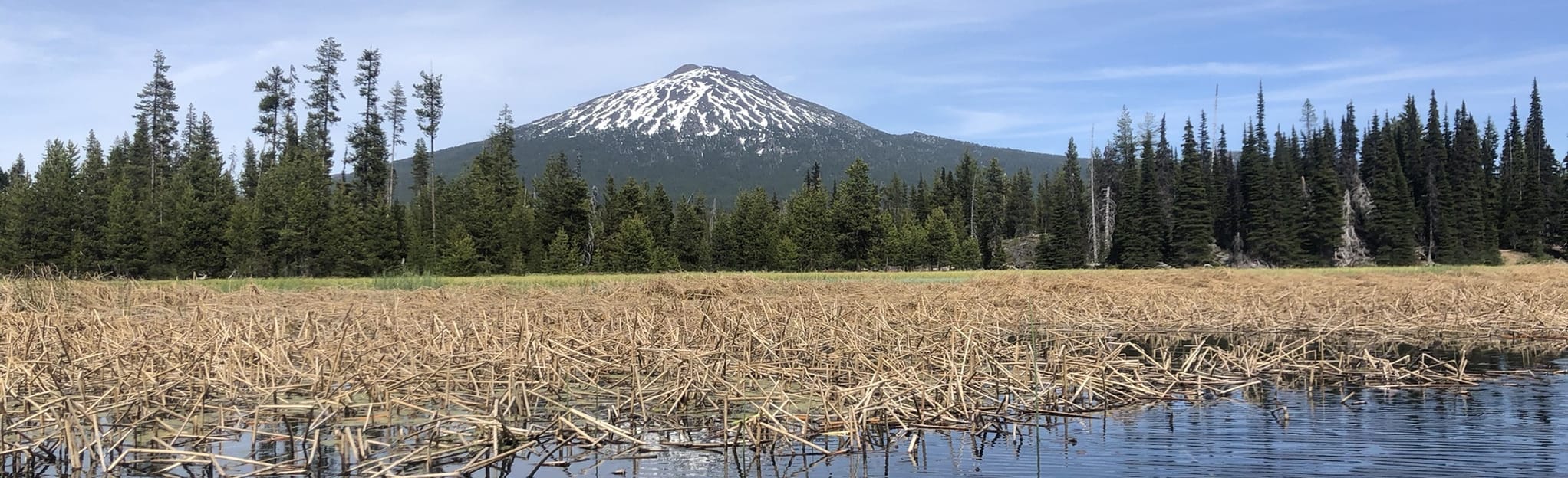 Hosmer Lake Paddle Trail, Oregon - 65 Reviews, Map | AllTrails