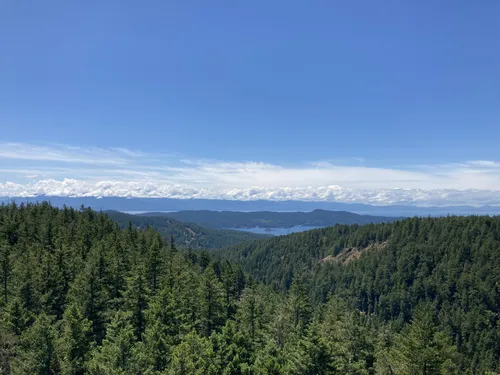 10 Best Hikes and Trails in Sooke Hills Wilderness Regional Park ...
