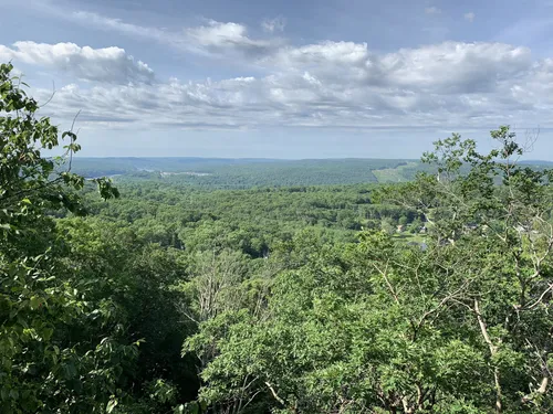 10 Best Hikes and Trails in Meshomasic State Forest | AllTrails