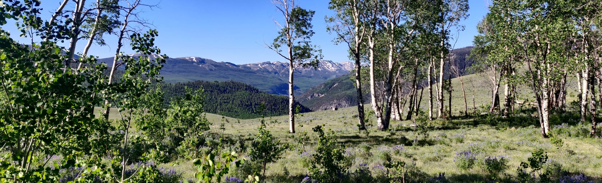 AllTrails | Jeep Trail : 12 Reviews, Map - Colorado