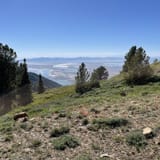 Inspiration Point OHV Route, Utah - 171 Reviews, Map | AllTrails