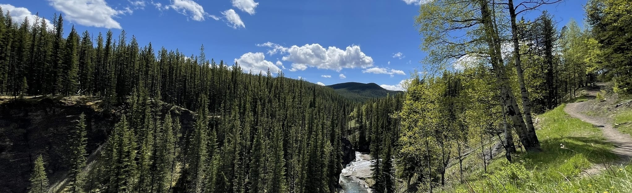 Gorge Creek and Ware Creek Loop: 170 foto's - Alberta, Canada | AllTrails