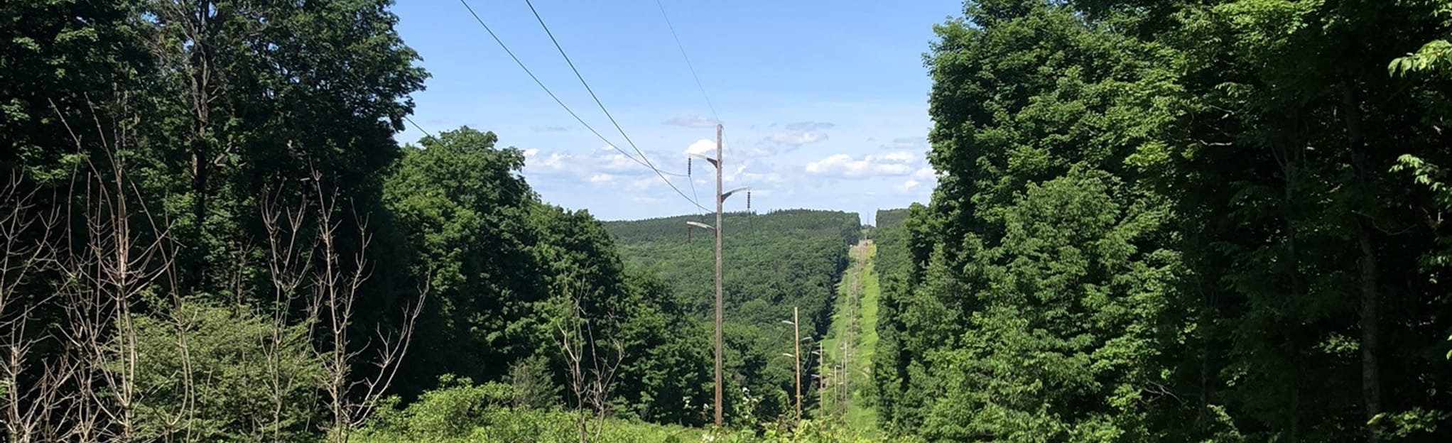 Highland Forest Main Trail, New York - 619 Reviews, Map | AllTrails