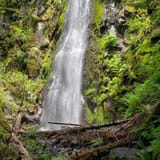 Tarbell Trail Hidden Falls , Washington - 110 Reviews, Map | AllTrails