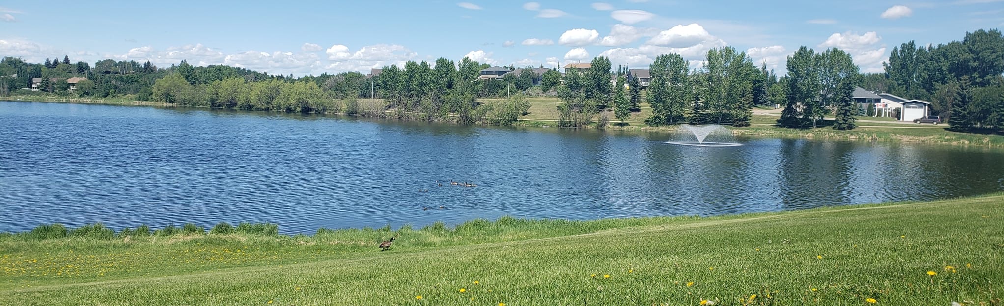 Cranna Lake Loop: 61 Reviews, Map - Alberta, Canada | AllTrails