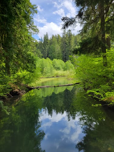 2023 Best 10 Trails and Hikes in Enumclaw | AllTrails
