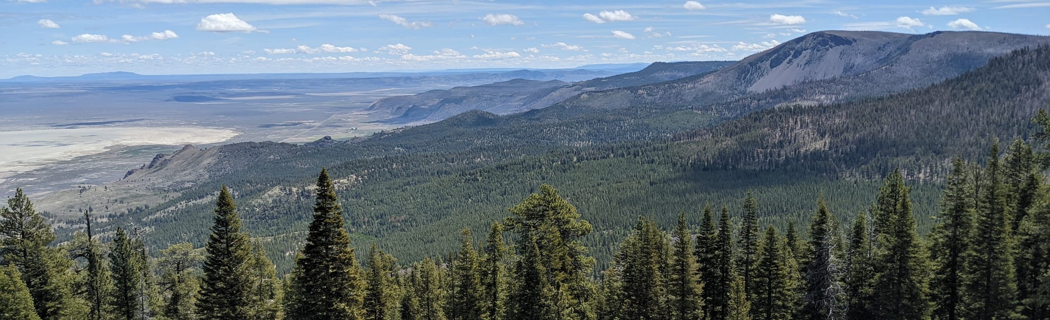 Winter Rim Trail from Currier Spring, Oregon - 2 Reviews, Map | AllTrails