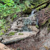 Hall Mountain Trail, Washington - 38 Reviews, Map | AllTrails