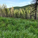 Hall Mountain Trail, Washington - 47 Reviews, Map | AllTrails