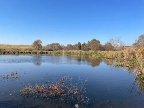 Best Hikes and Trails in Northern Farm Nature Reserve | AllTrails