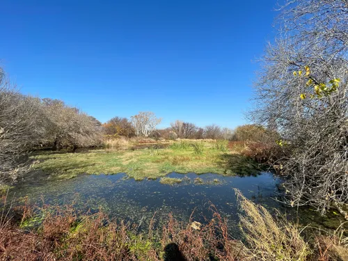 Best Hikes and Trails in Northern Farm Nature Reserve | AllTrails