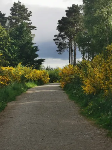 2023 Best 10 Trails and Hikes in Inverness | AllTrails