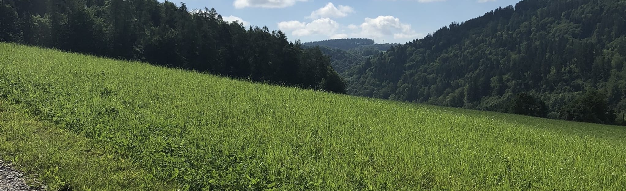 Gurten Kulm Circular route, Bern, Switzerland - 5 Reviews, Map | AllTrails