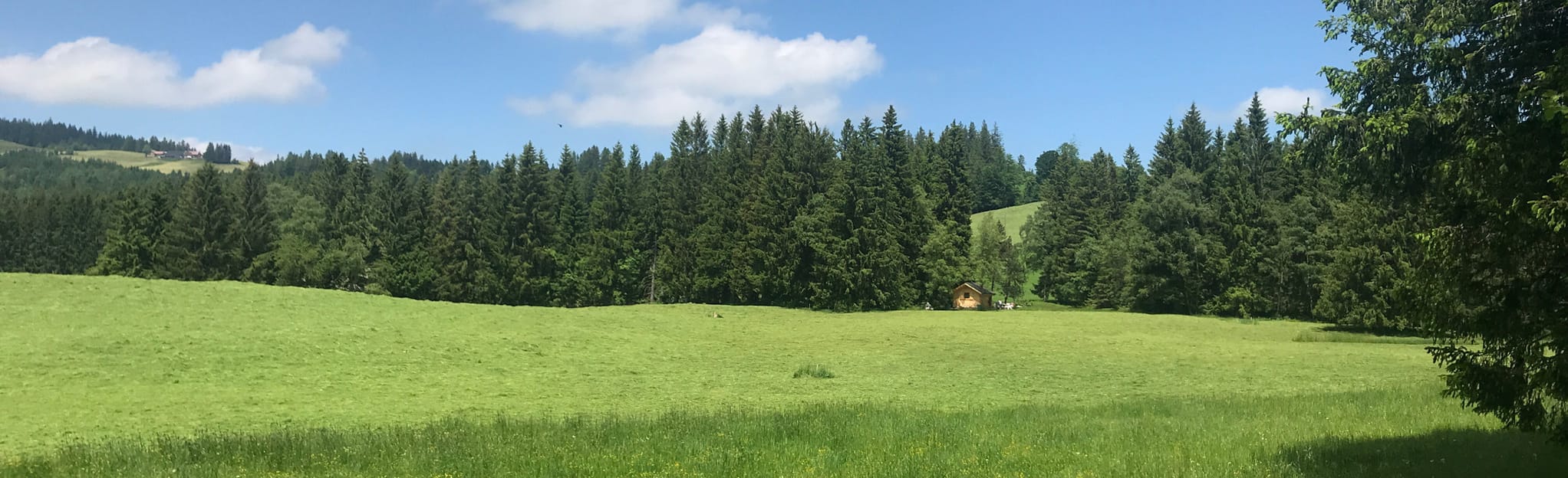 Gais - Schaukelplatz: 12 Reviews, Map - Appenzell Outer Rhodes ...