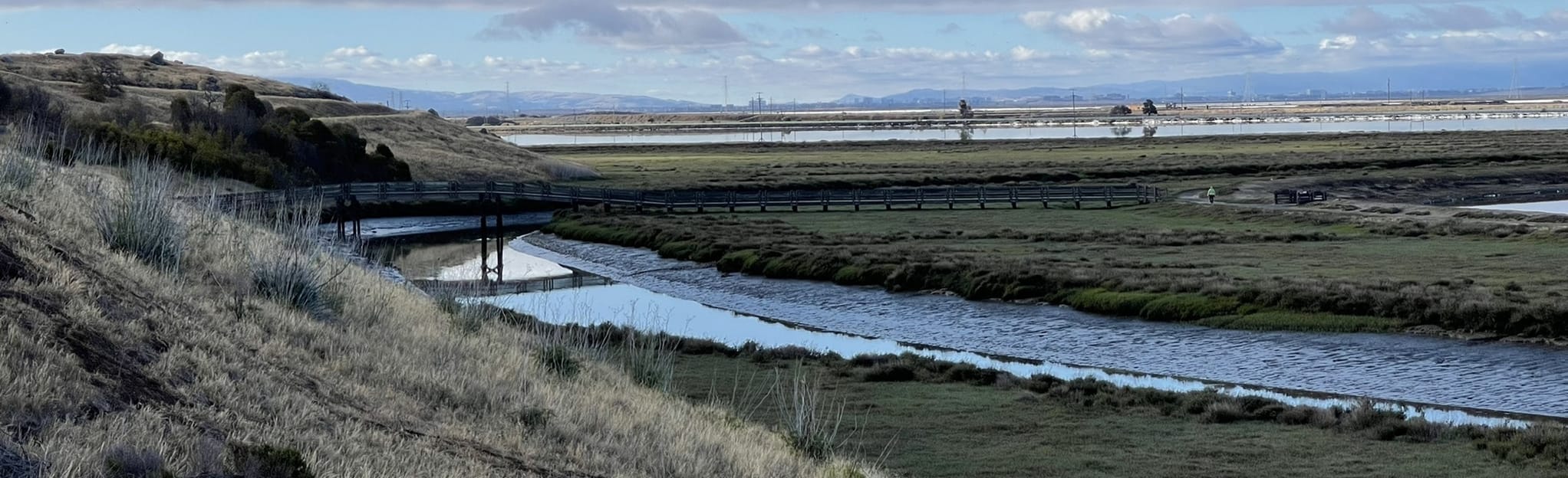 AllTrails | Newark Slough Trail: 337 Reviews, Map - California