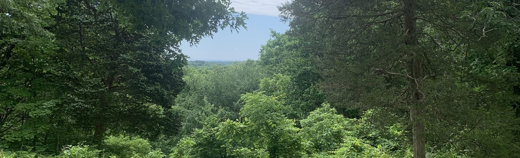 Harrison Smith and Quarry Head Preserves Loop, Connecticut - 27 Reviews ...