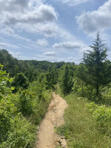 Best Hikes and Trails in Rockburn Branch Park | AllTrails