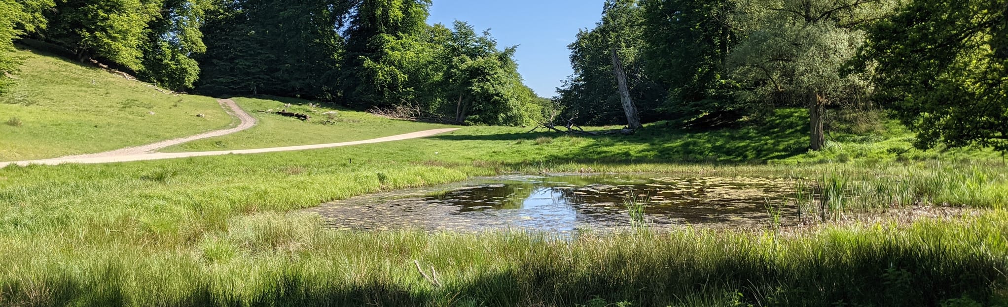 Charlottenlund - Jægersborg Dyrehave -Jægersborg Hegn | Map, Guide ...