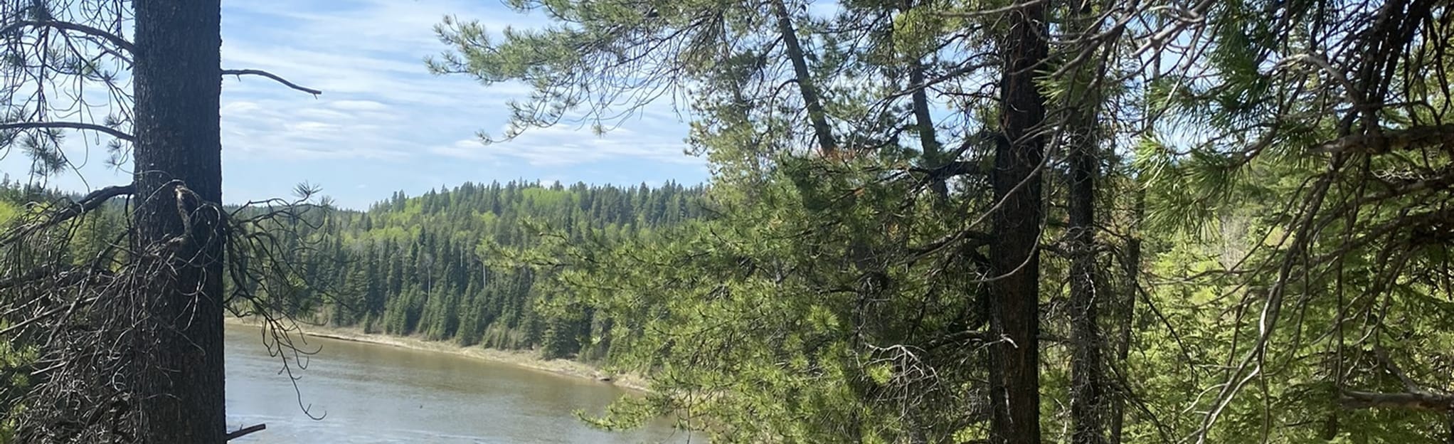 River, Route 66, Overflow, Spruce, Ridge Roller and Cliff Trail [CLOSED ...