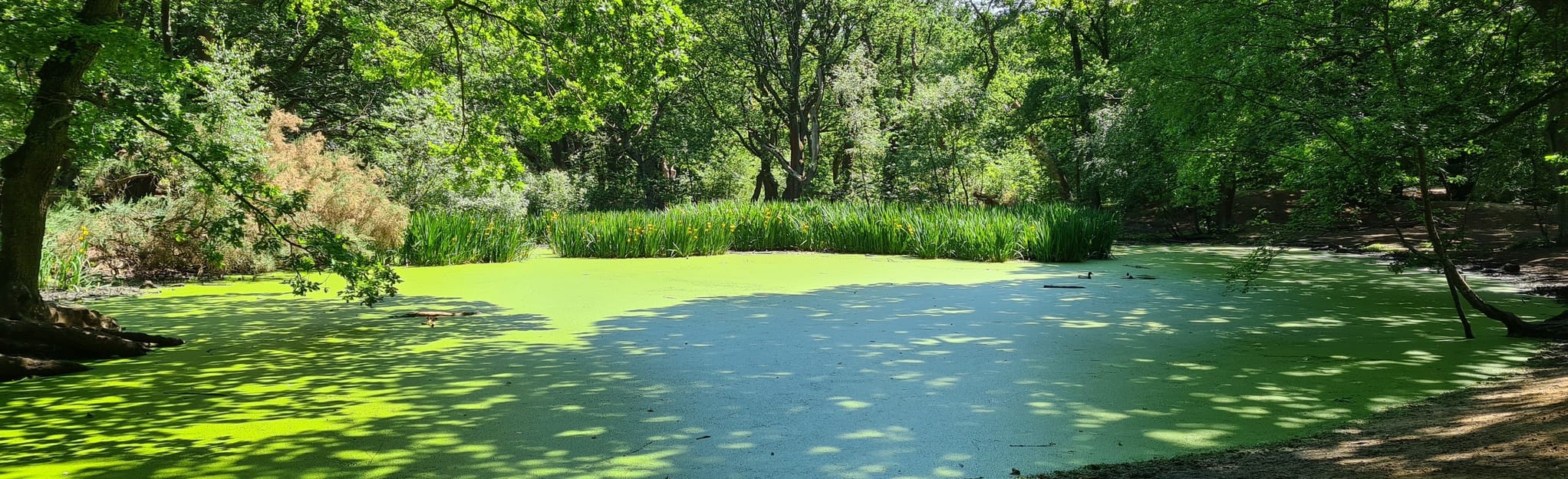 St Alban's Way: Stage 2: 2 Reviews, 91 Photos, Map - London, England ...